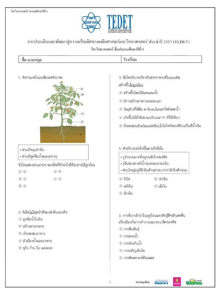 TEDET Science G5 | PDF