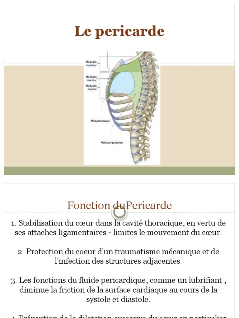 Anatomie et fonctions du péricarde | PDF | Aorte | Cœur