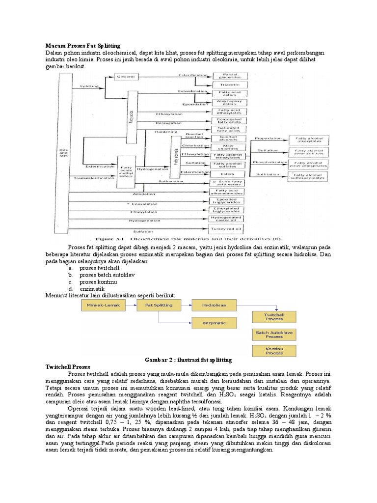 Macam Proses Fat Splitting | PDF