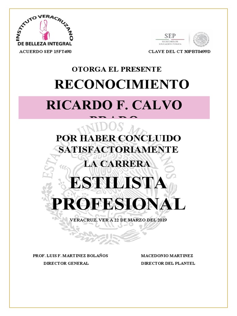 Certificado de Estilista Profesional | PDF