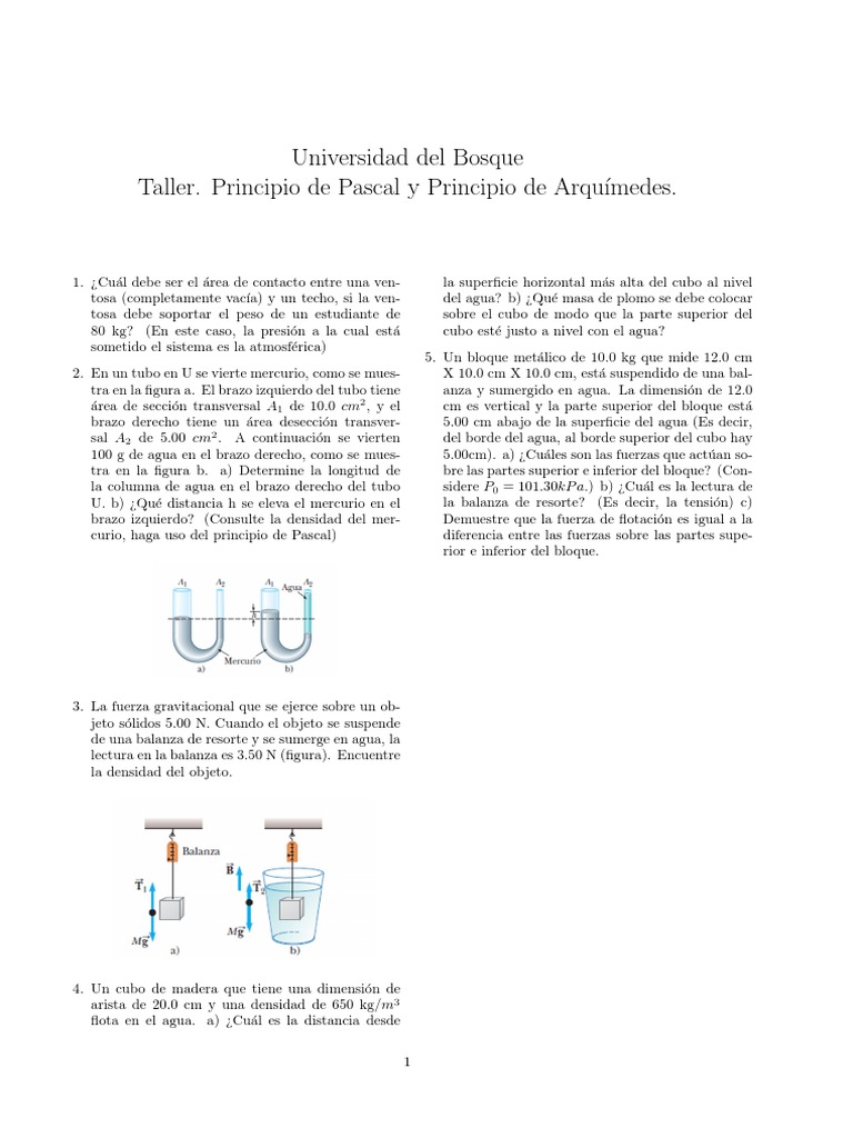 Talller 2 Principio de Pascal y Arquimedes | PDF | Ciencia y matemáticas