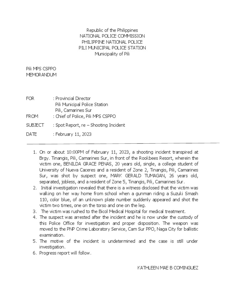 Pili Shooting Incident Report - Feb 2023 | PDF