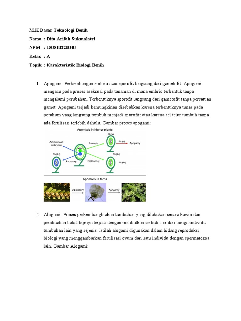 Karakteristik Biologi Benih Tumbuhan | PDF | Ilmu Sosial