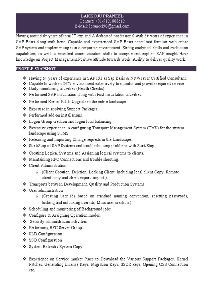 SAP Basis Praneel 6+ Years | Download Free PDF | Databases | Computing