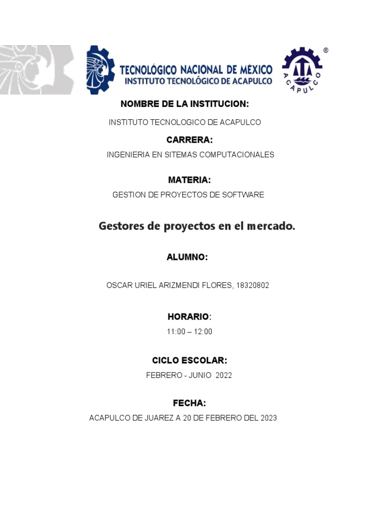 Gestores de Proyectos en El Mercado. | PDF | Software | Informática