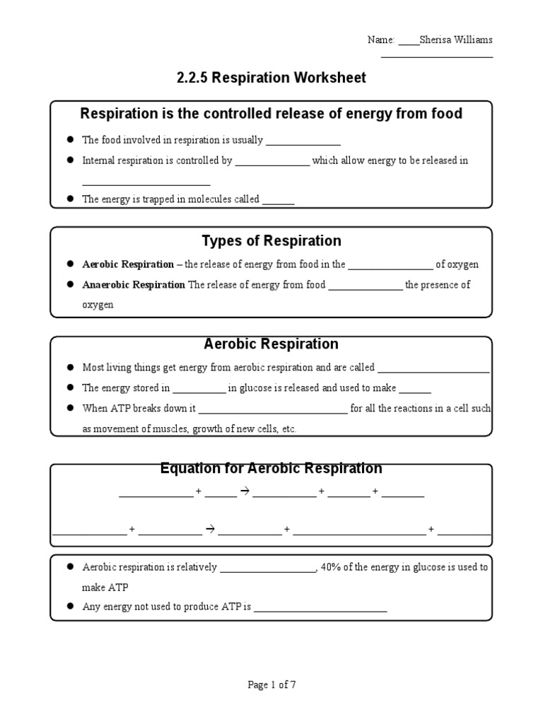 2.2.5 Respiration Worksheet | PDF | Cellular Respiration | Fermentation