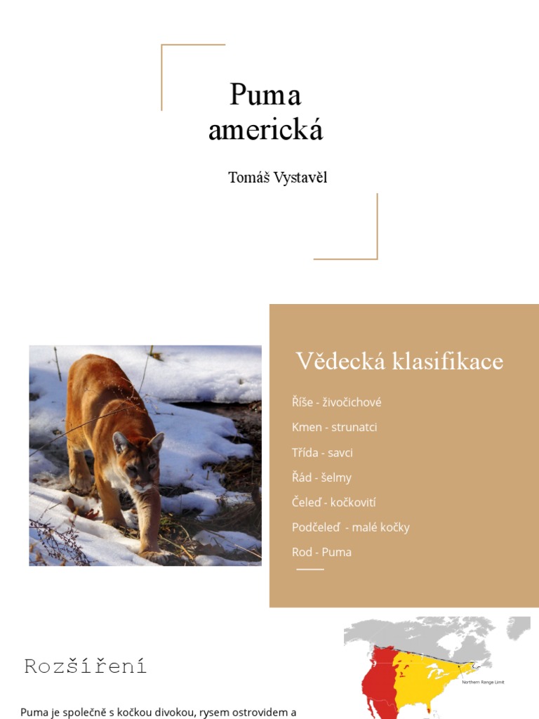Puma Americká | PDF