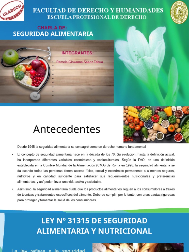 Seguridad Alimentaria | PDF | Seguridad alimentaria | Alimentos