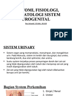Pemahaman Tractus Urinaria dan Fisiologinya | PDF