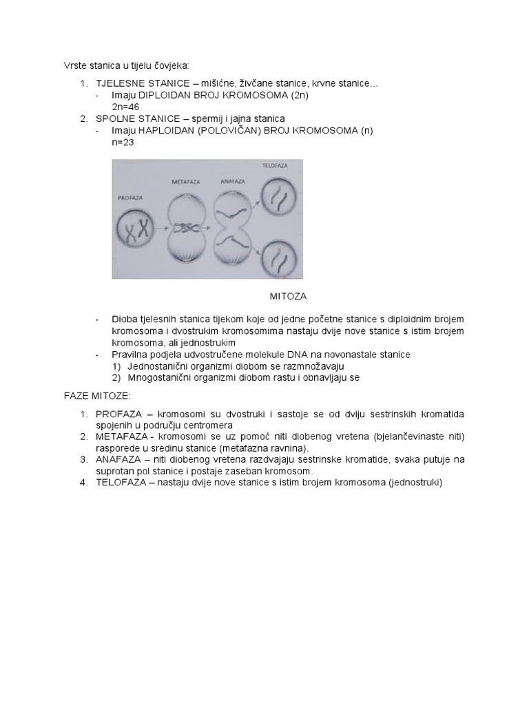Biologija | PDF