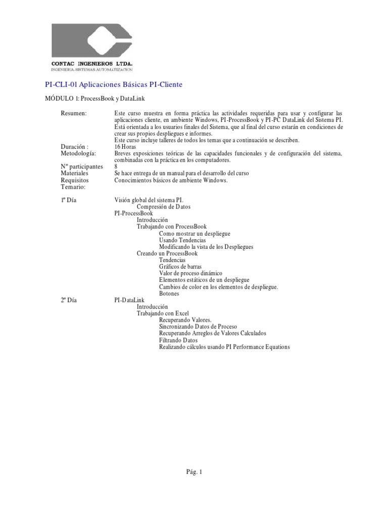 PI Process Book Capacitacion | PDF