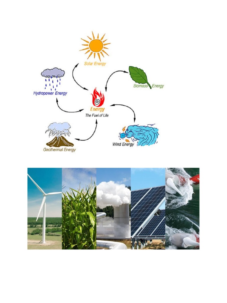 Evs Project Pictures Pdf