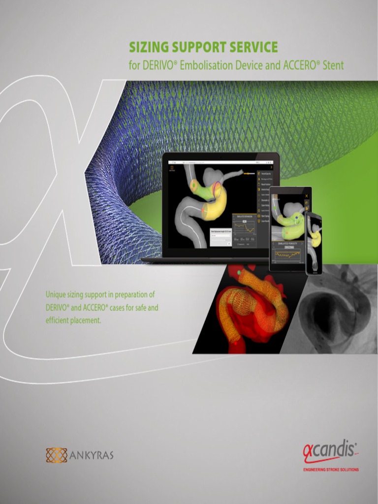 Derivo-Sizing-Flyer 299 1540404941 | PDF | Simulation | Computing