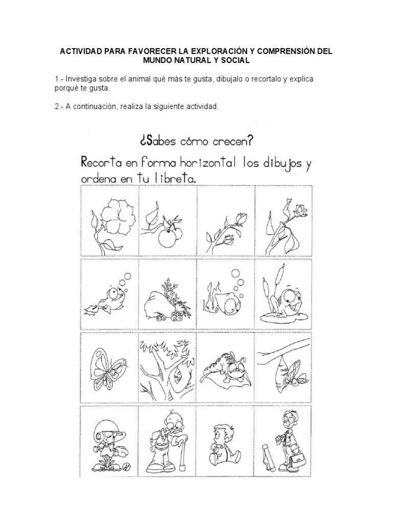 Actividad para Favorecer La Exploración y Comprensión Del Mundo Natural ...