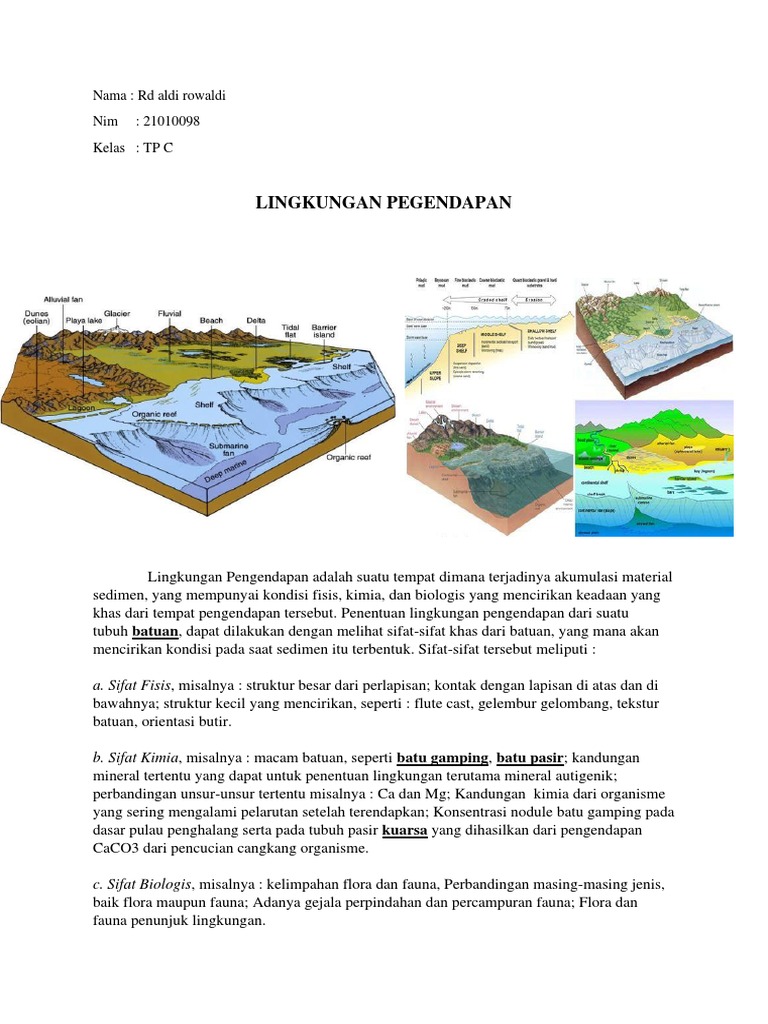 LINGKUNGAN PENGENDAPAN | PDF