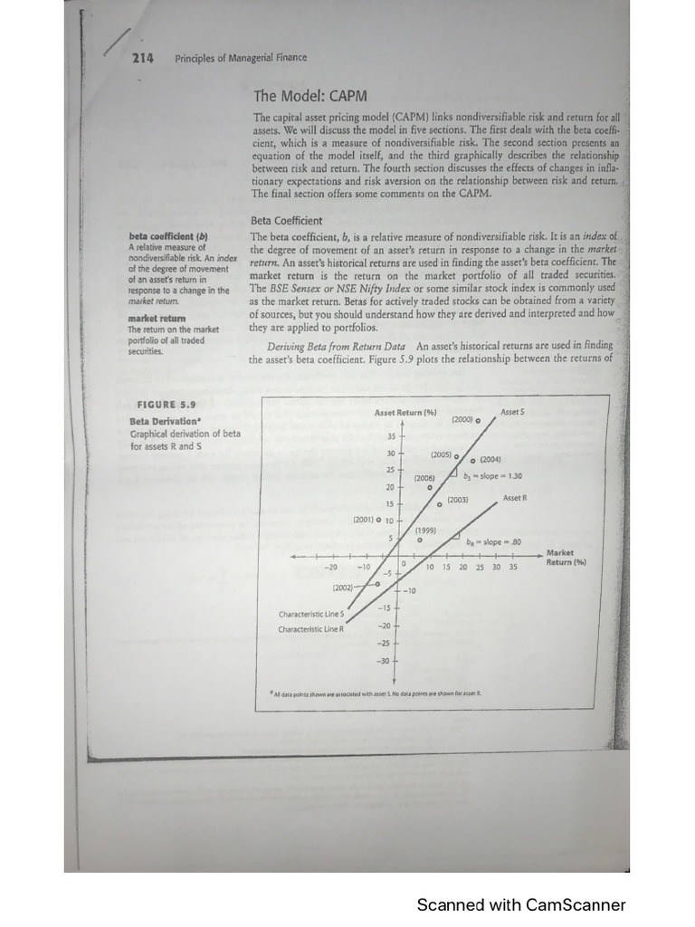 CAPM | PDF