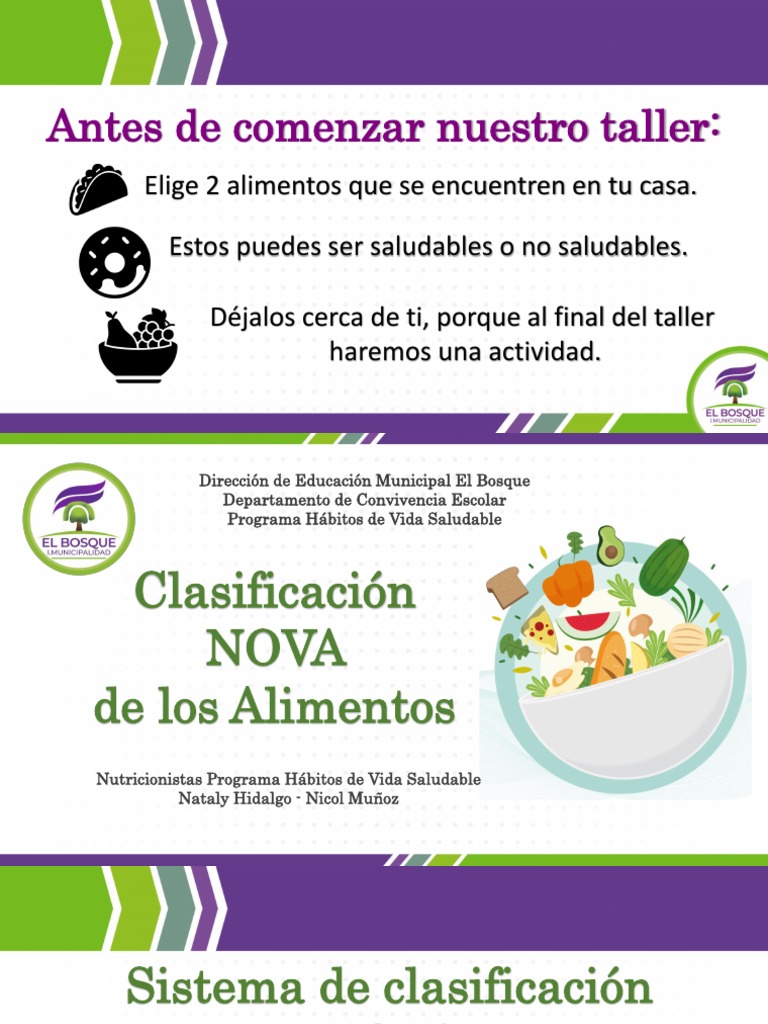 Clasificacion Nova de Los Alimentos PDF | PDF | Alimentos | Panes
