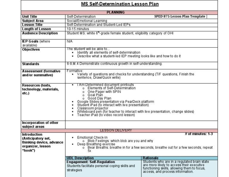 Hewett K m4 Self Determination LP | PDF | Lesson Plan | Individualized ...