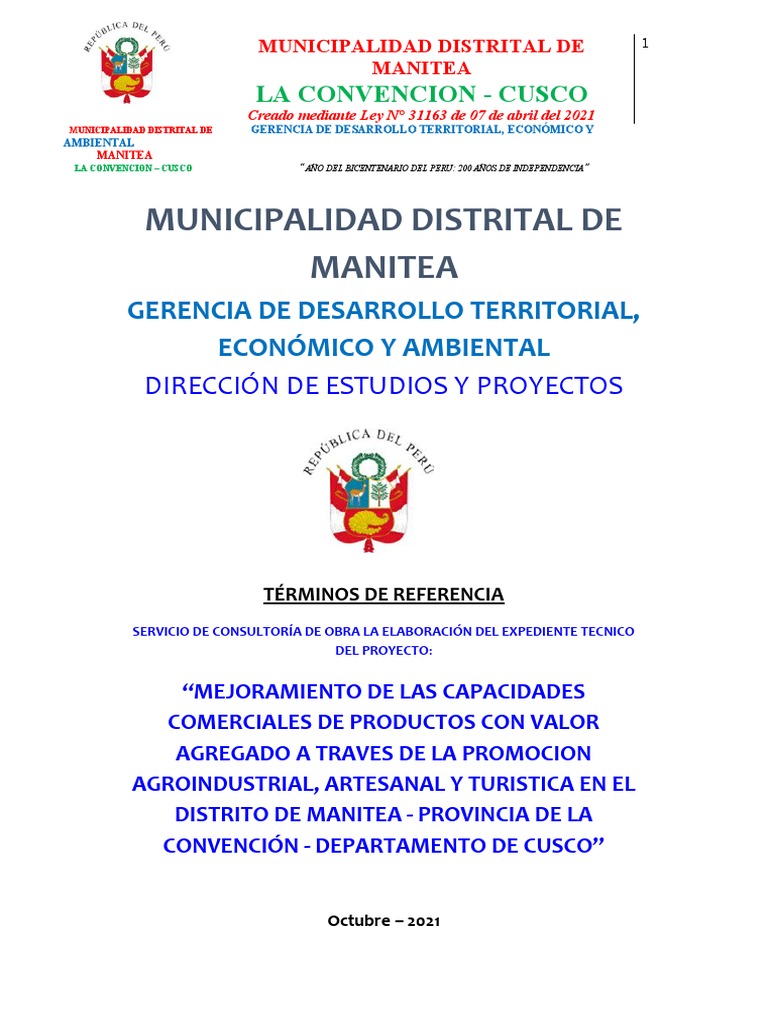 11.00 TDR Et Ferias Manitea | PDF | Presupuesto | Perú