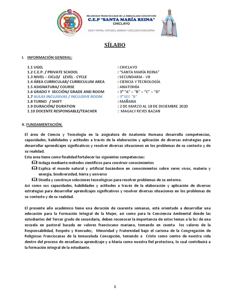 Anatomía 3ro Sec | PDF