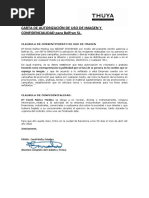 Carta Poder Izzi | PDF