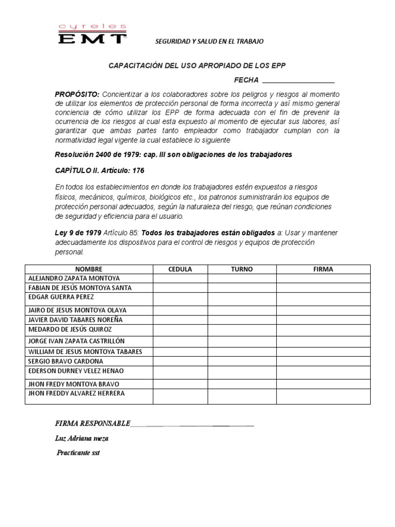 Capacitación Del Uso Apropiado de Los Epp | PDF