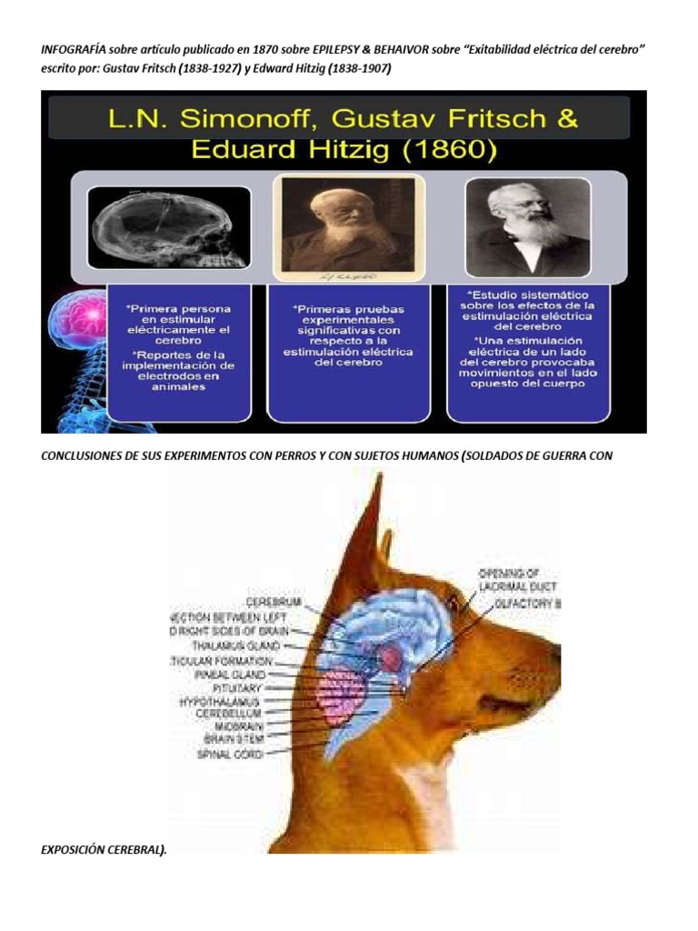 INFOGRAFÍA Sobre Artículo Publicado en 1870 Sobre EPILEPSY | PDF ...