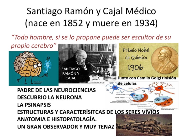 Santiago Ramon Ycajal | PDF
