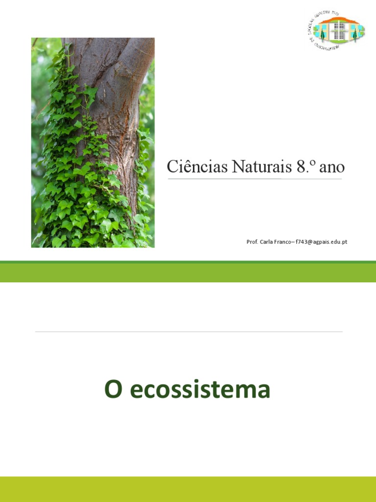 Estrutura e Funcionamento Dos Ecossistemas | PDF | Ecossistema | Florestas
