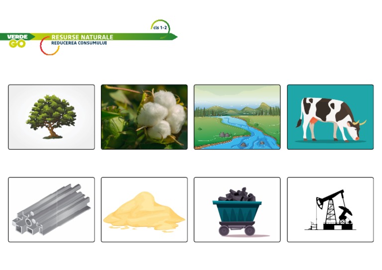 L8.1 P1 Plansa Reducerea Consumului RESURSE NATURALE | PDF
