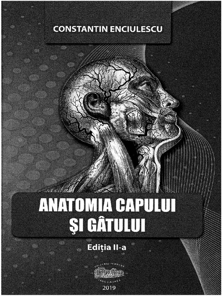 Anatomia Capului Si A Gatului, Enciu 2019 | PDF