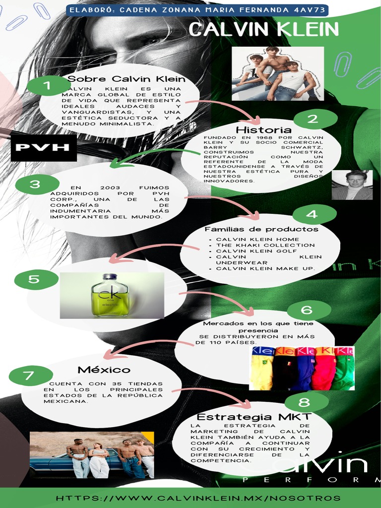 Infografia Paso A Paso Gratis Juvenil Rosa PDF | PDF | Marketing | Business