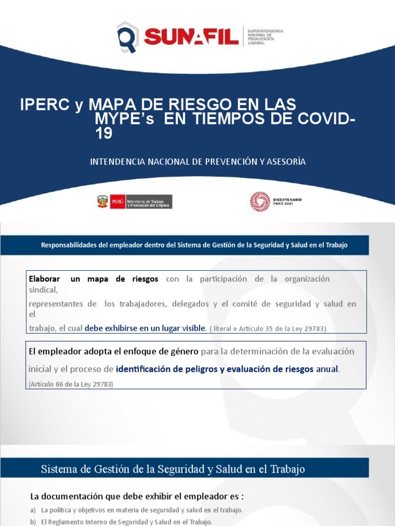 Iperc Sunafil | PDF | Riesgo | Seguridad y salud ocupacional