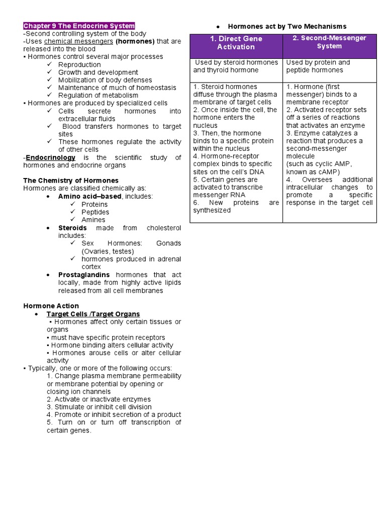 Chapter 9 The Endocrine System | PDF | Hormone | Cell (Biology)
