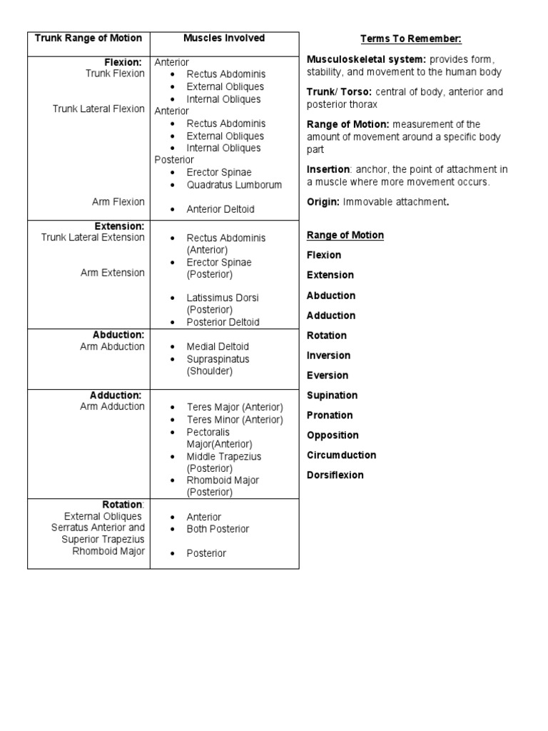 Trunk Range of Motion Overview | PDF | Anatomical Terms Of Motion ...