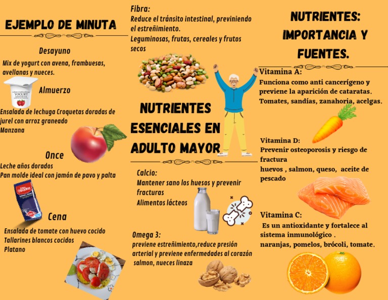 Nutrientes Esenciales en Adulto Mayor PDF | PDF | Nutrición | Dieta y ...