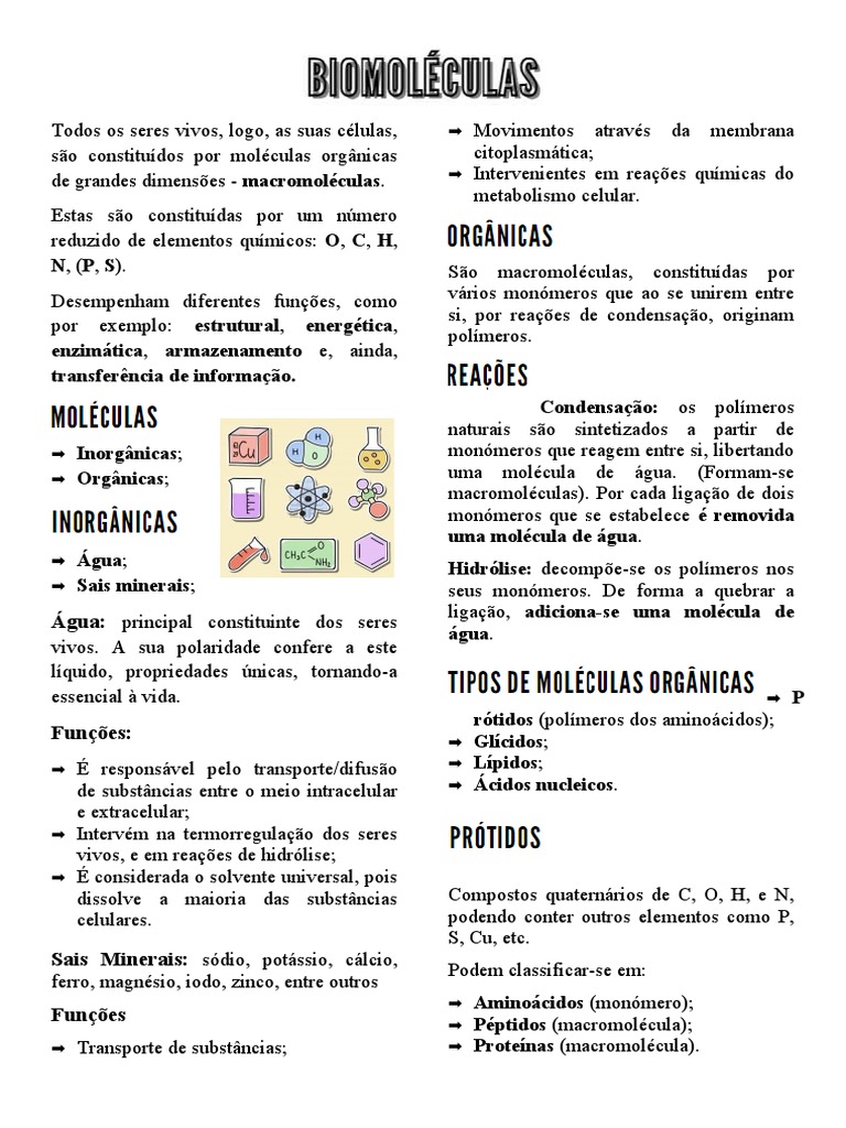 Resumo - Biomoléculas | PDF | RNA | DNA
