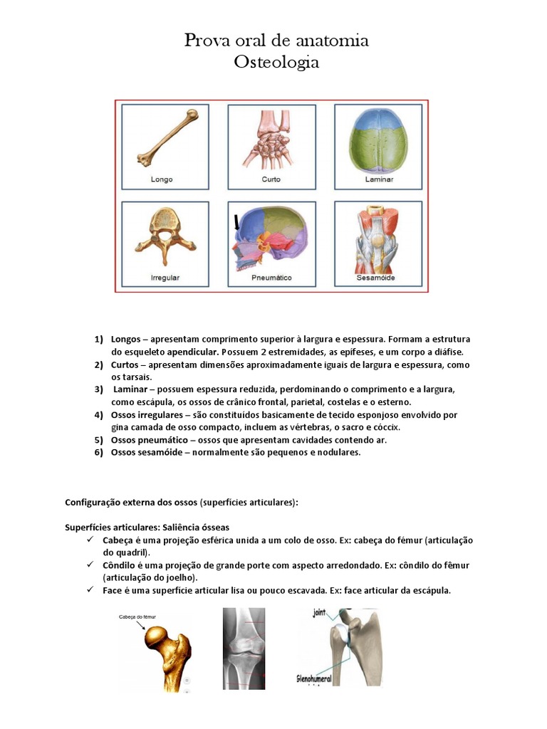 Resumo Prova Oral Anatomia PDF | PDF | Coluna vertebral | Sistema Esquelético