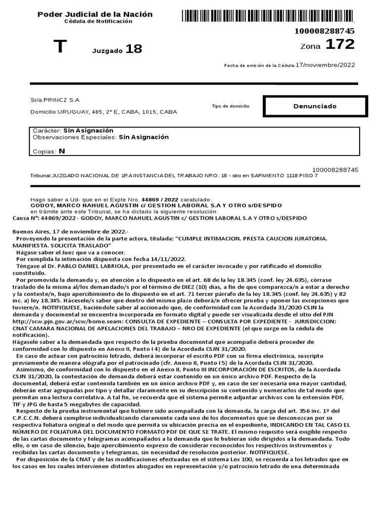 4 Cedula A Princz | PDF | Demanda judicial | Gobierno