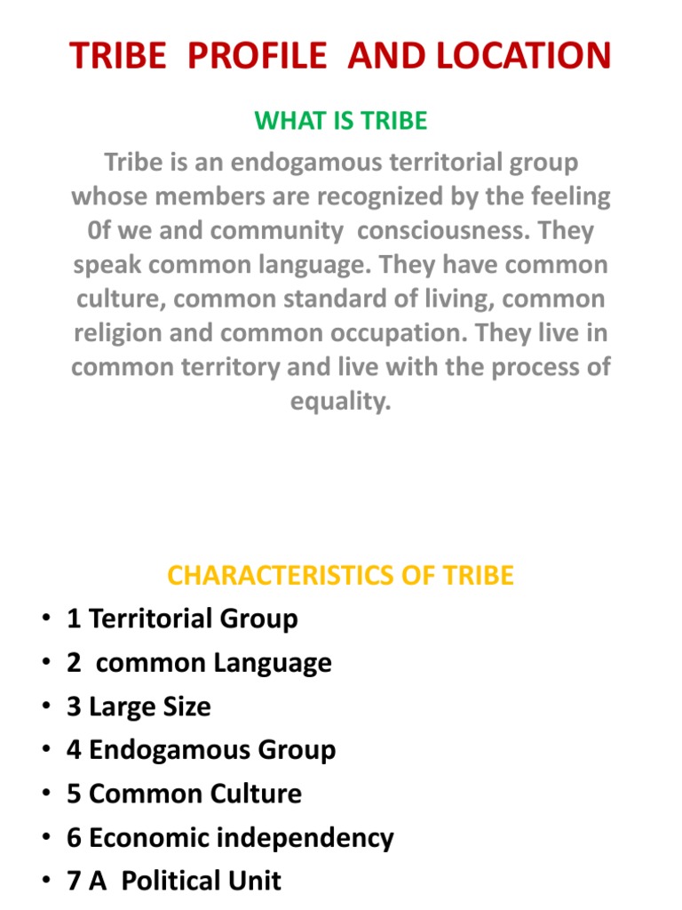 Tribe Profile and Location PDF | PDF | Tribe | Demographics Of India