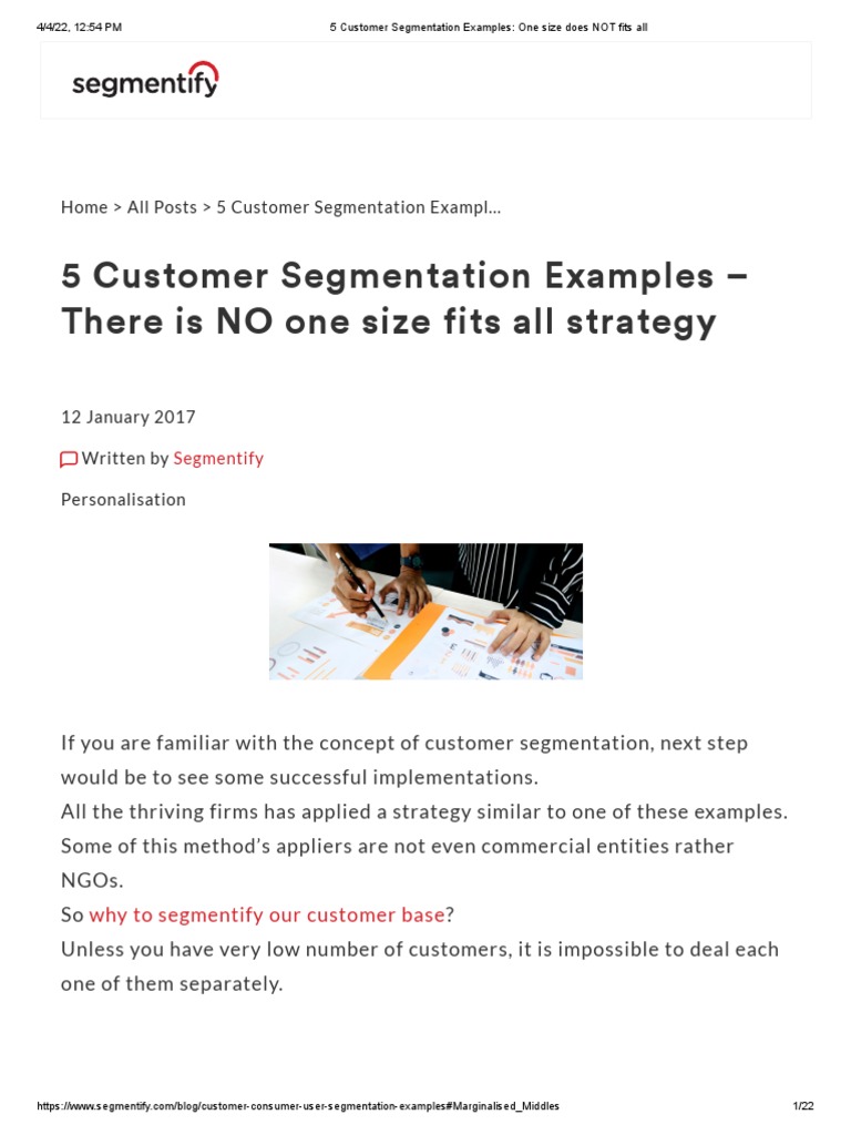 5 Customer Segmentation Examples - One Size Does NOT Fits All | PDF ...