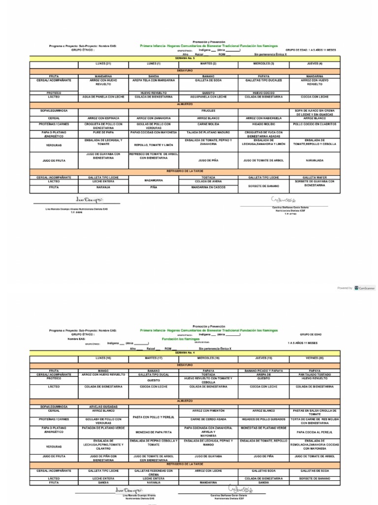 Ciclo de Menús Con Ajustes HCB Flamingos PDF | PDF