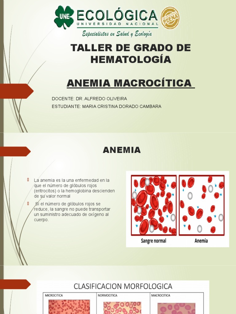 TALLER DE GRADO DE HEMATOLOGÍA anemia macrocitica corregido.pptxTALLER ...