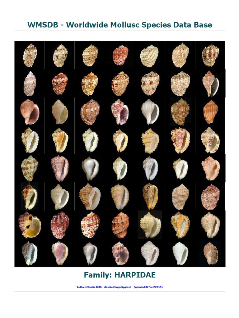 HARPIDAE | PDF | Biological Nomenclature | Botanical Nomenclature