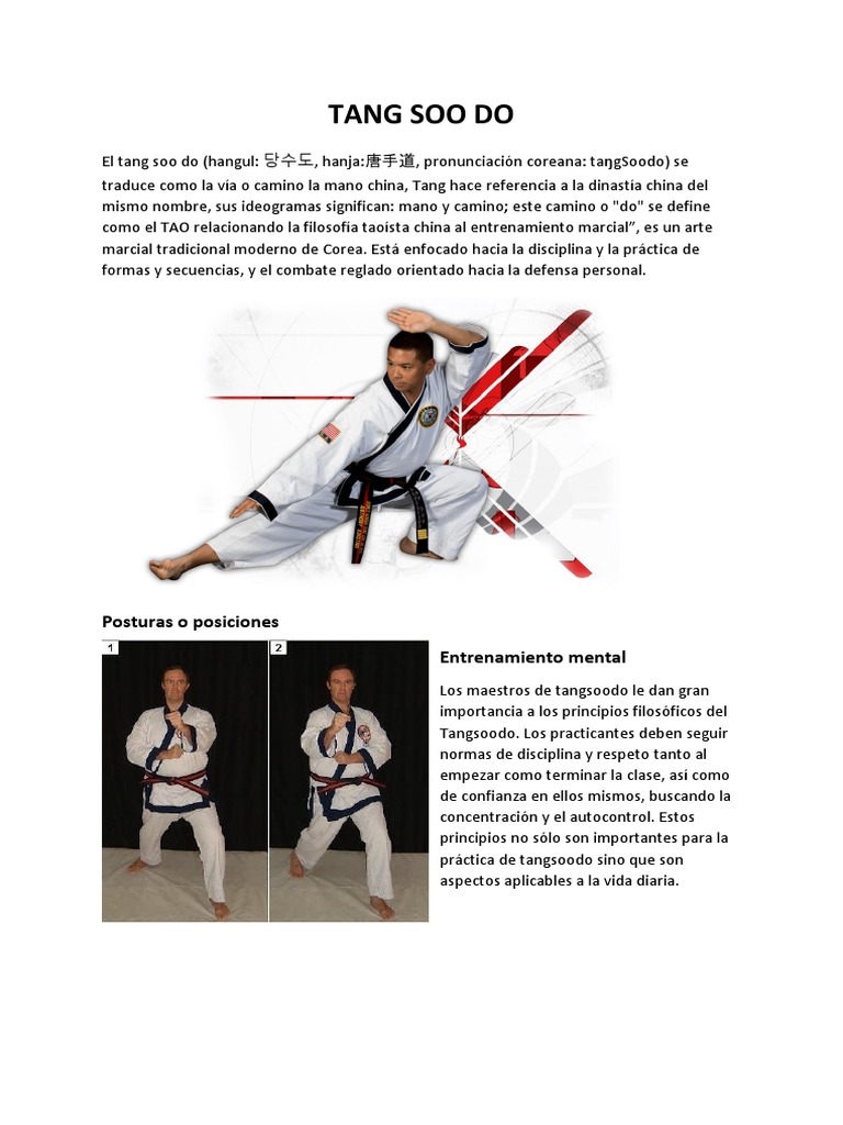 Tang Soo Doo Basico | PDF
