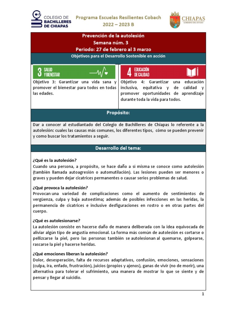 Semana 3 - Ficha Técnica - Prevención de La Autolesión | PDF ...