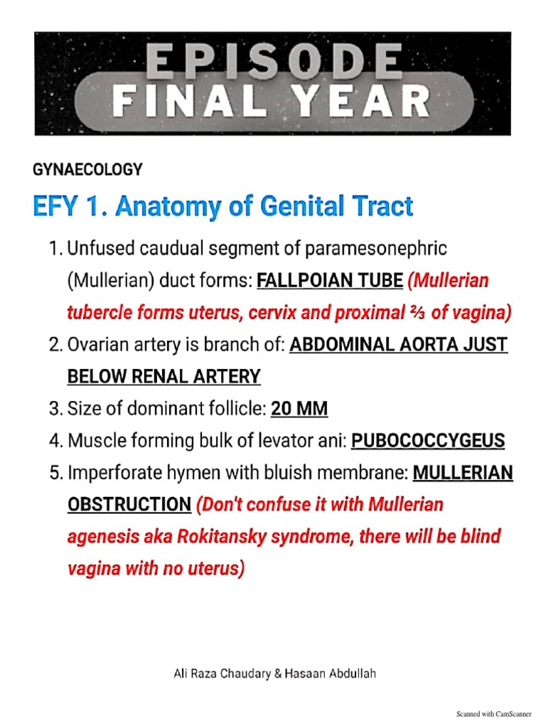 Efy Gynaecology Review PDF | PDF