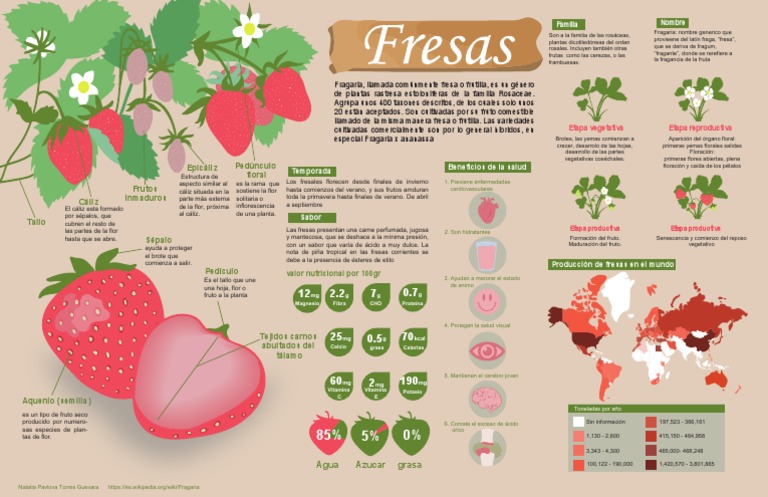 Infografía sobre la fresa y sus beneficios | PDF | fresa | Plantas