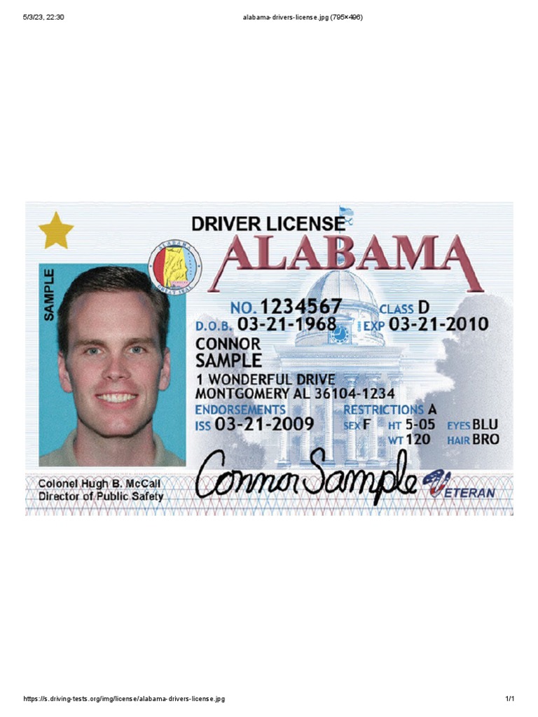 Alabama Driver's License Image | PDF