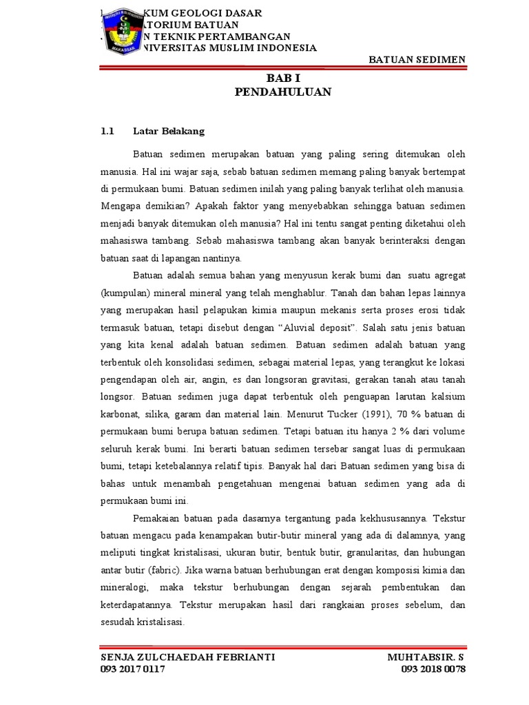LAPORAN Batuan Sedimen | PDF | Ilmu Sosial | Sains & Matematika